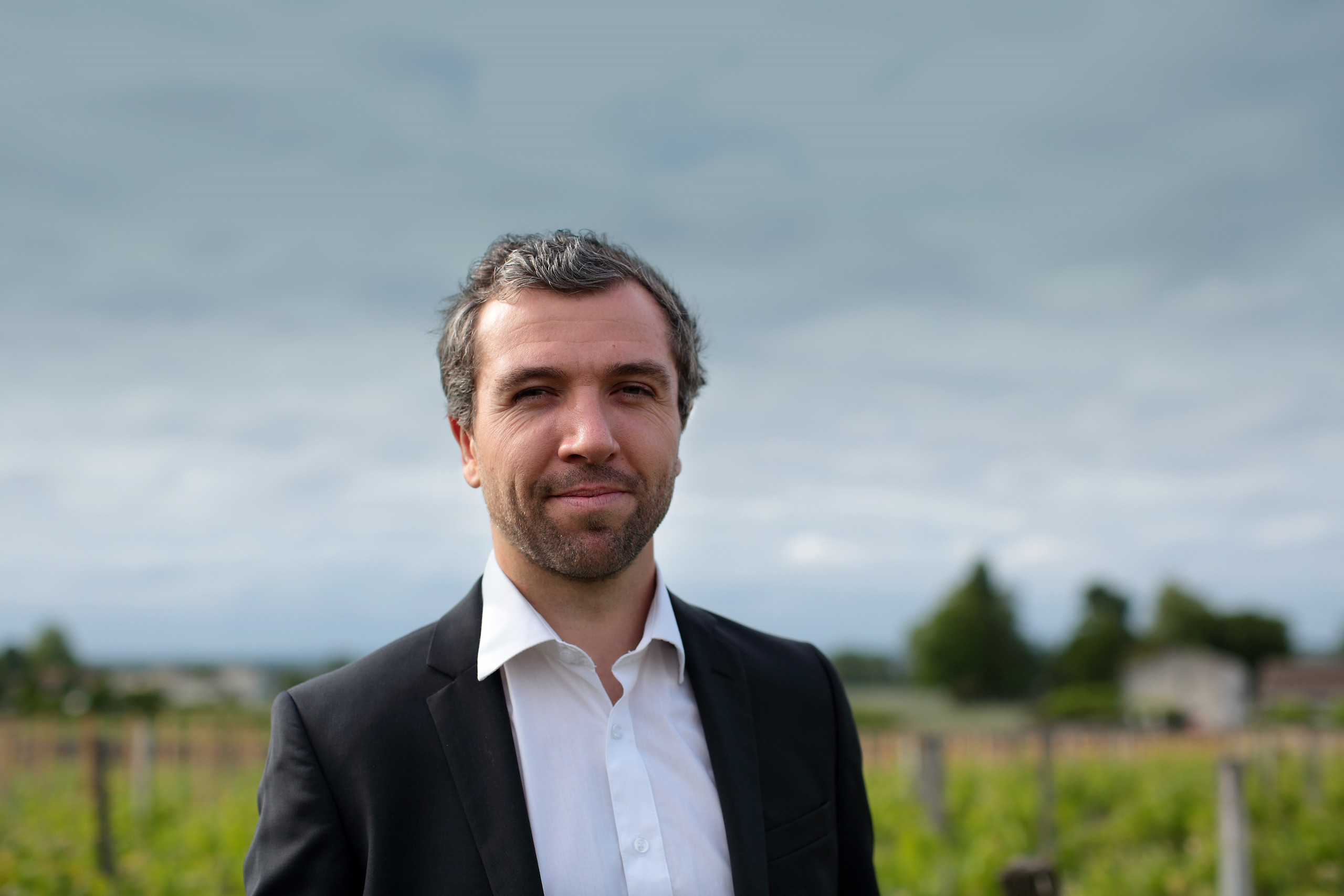 David Aubert - Vignobles et Châteaux